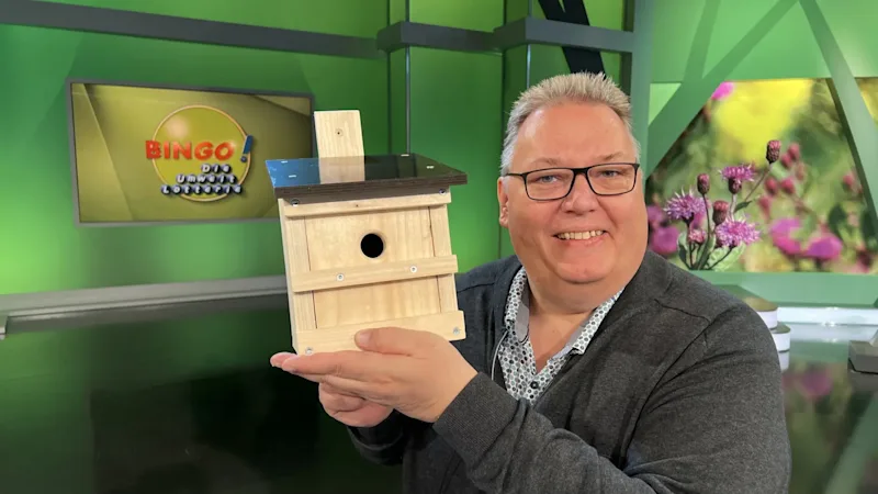 Service rund um BINGO! | BINGO! - Die Umweltlotterie